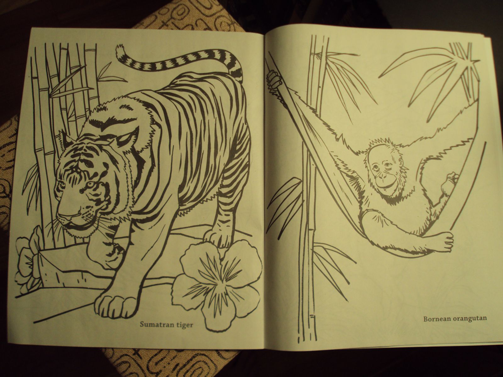 Gabriel Hardman Goes to the Zoo!