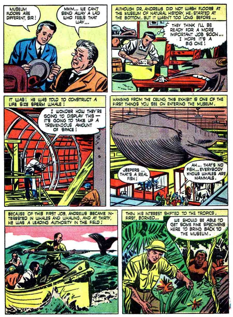 Roy Chapman Andrew Comics!